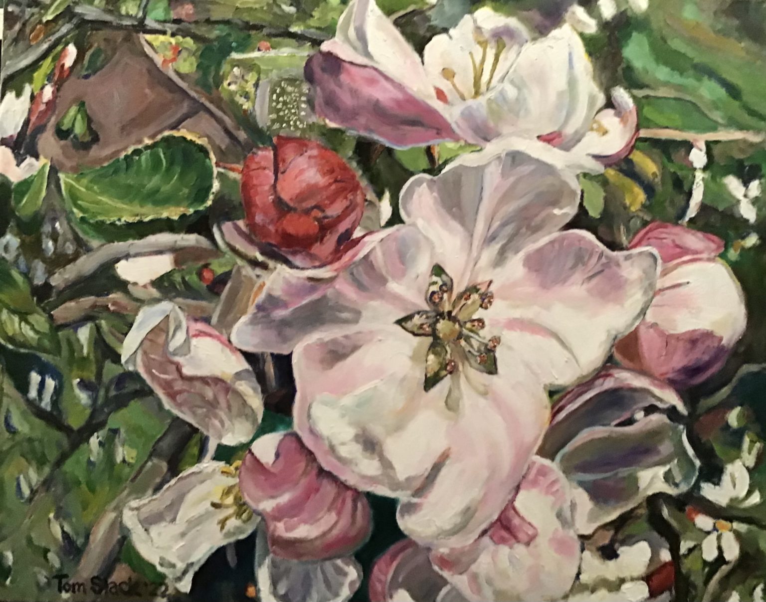 Tom Slack Art Gallery and Blog