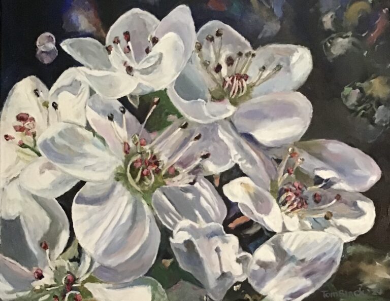 Tom Slack Art Gallery and Blog